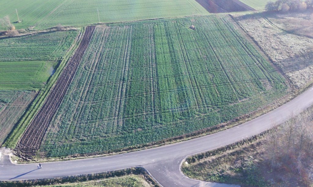 Aktuālie notikumi rapšu izmēģinājuma laukā - Durbes grauds